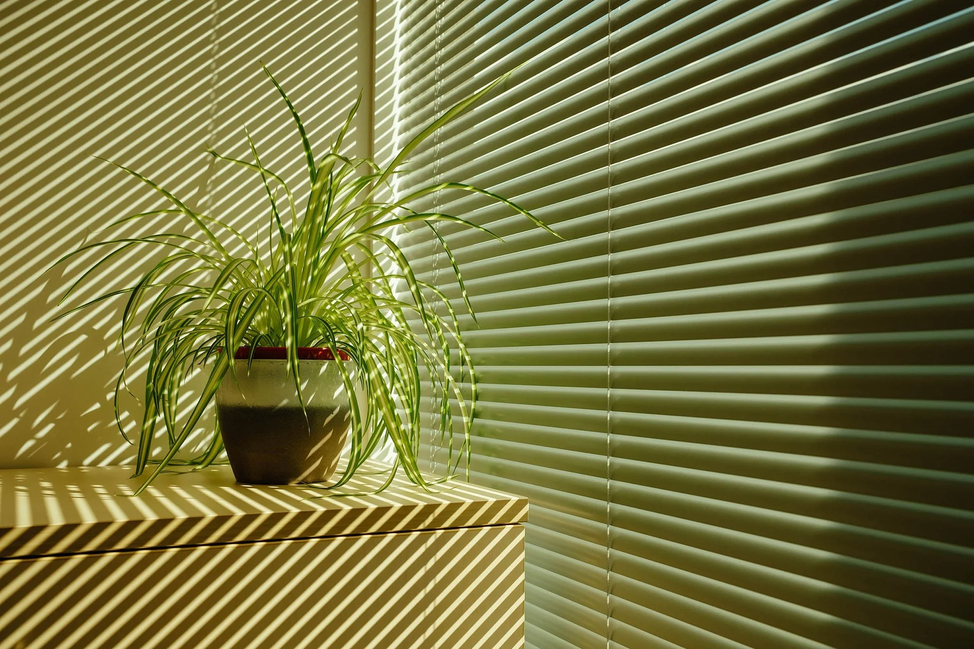 Tim Booth assignment - looking for the light — THE PHOTOWALK