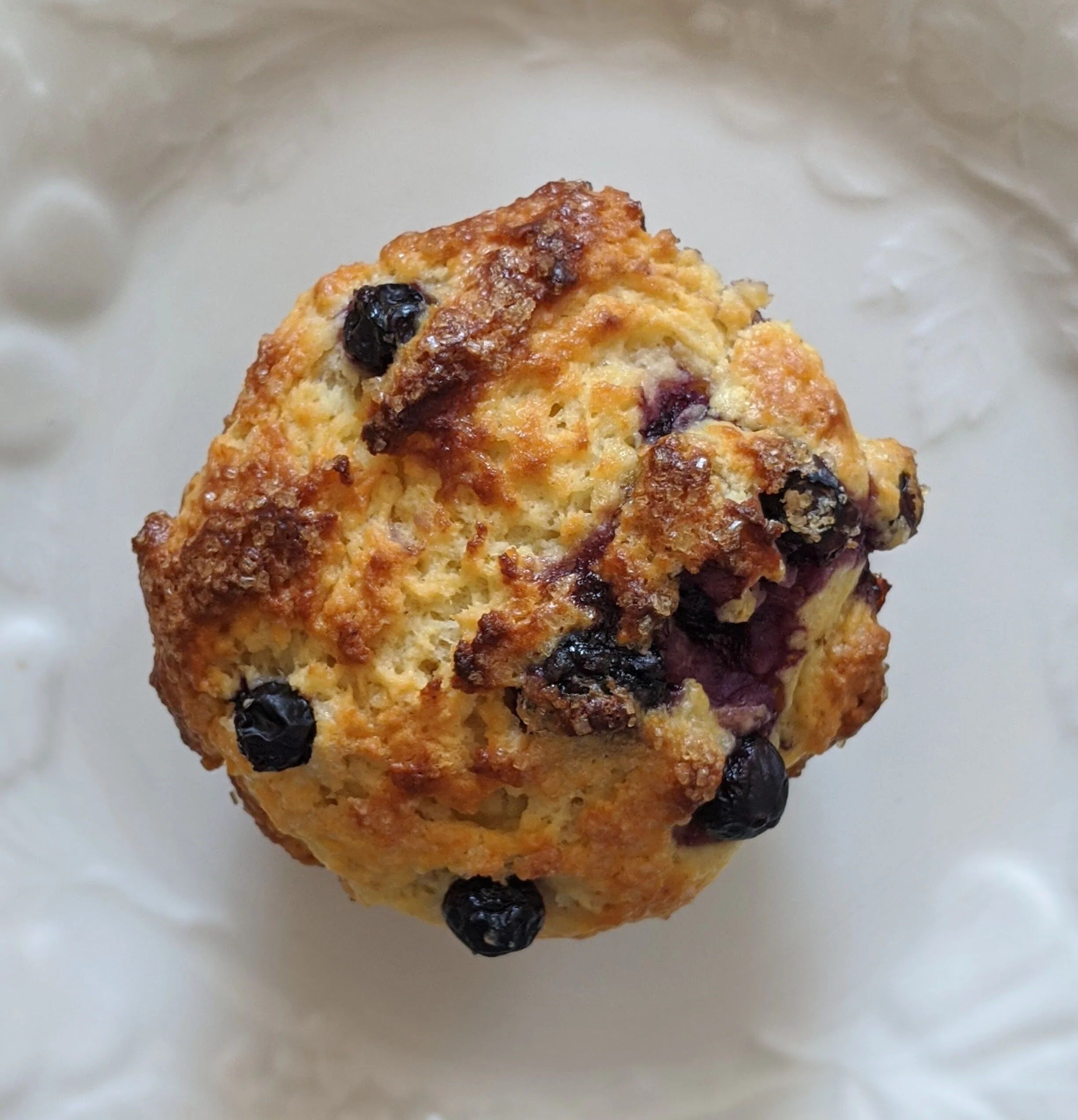 Battle: Blueberry Muffins — Bentley Eats