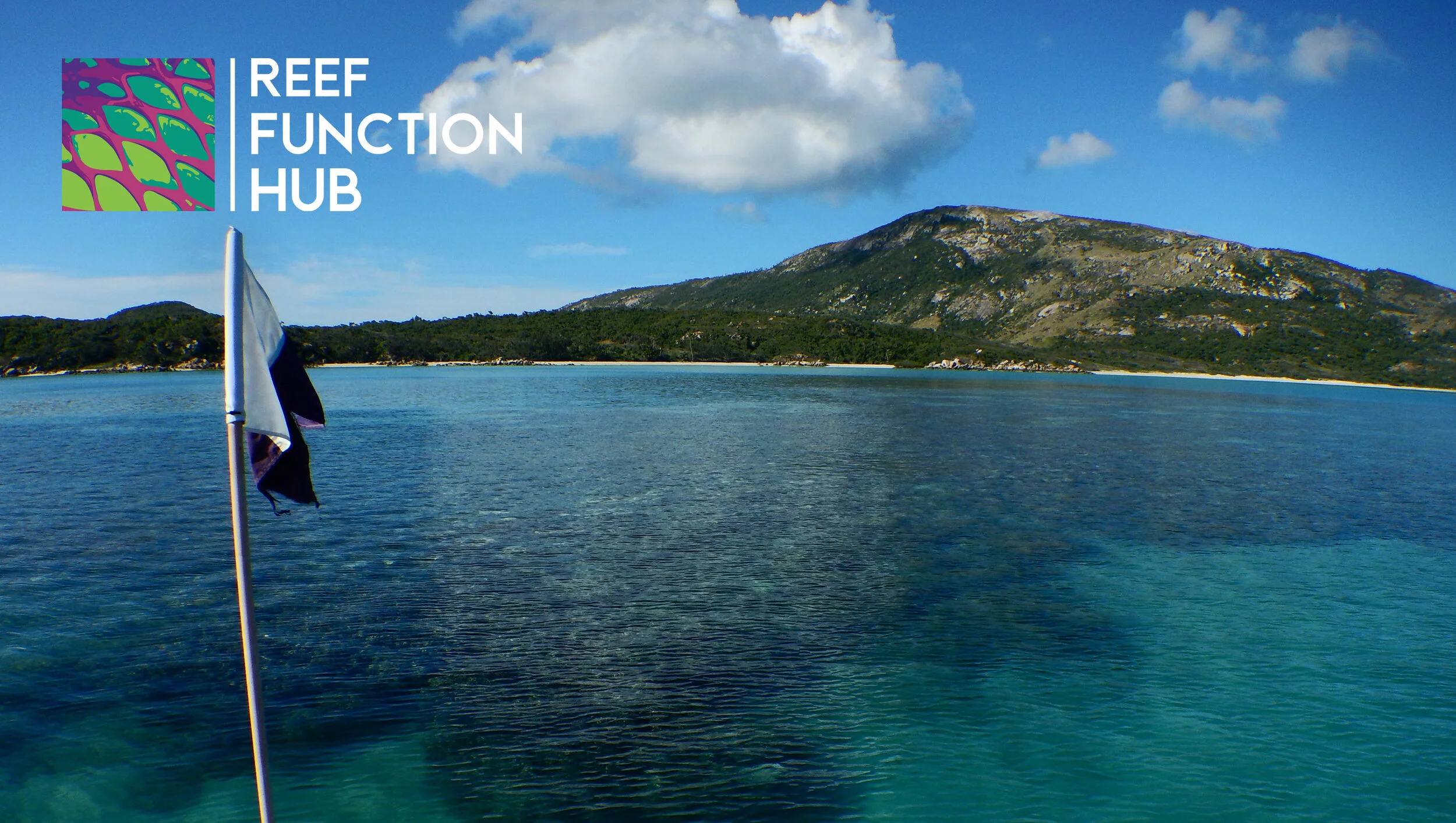 Home - Reef Function Hub