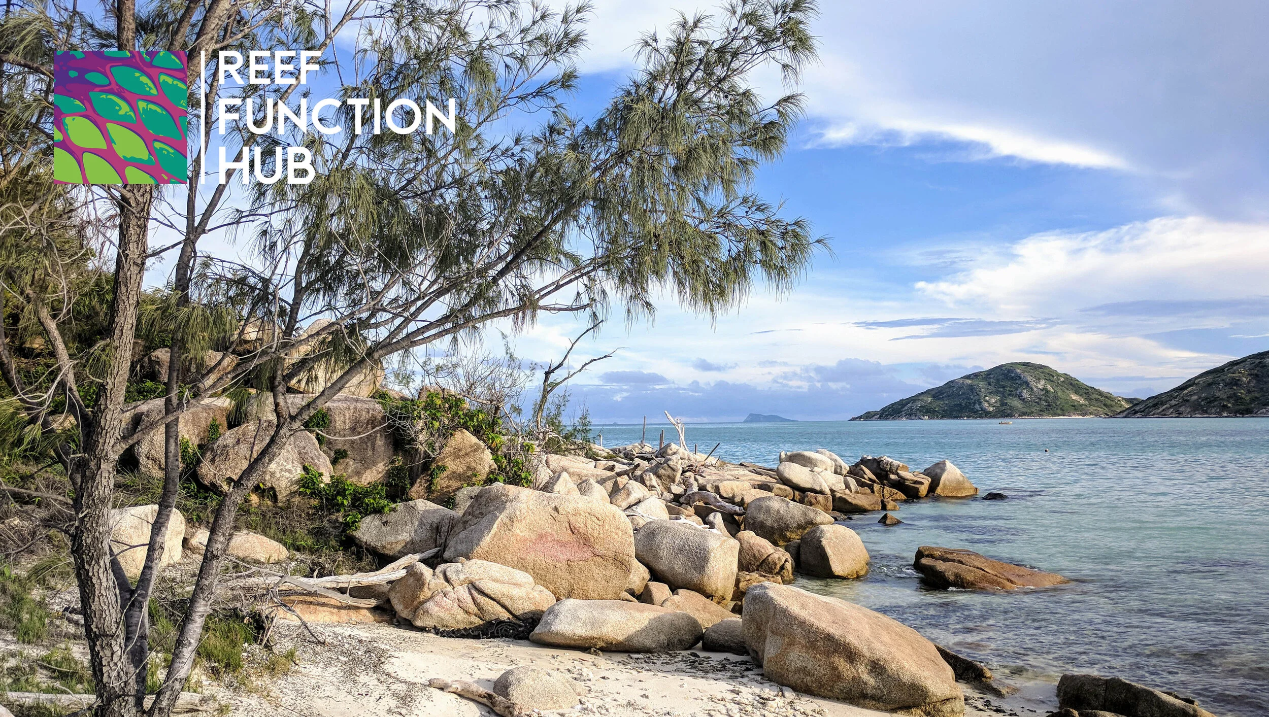 Home - Reef Function Hub