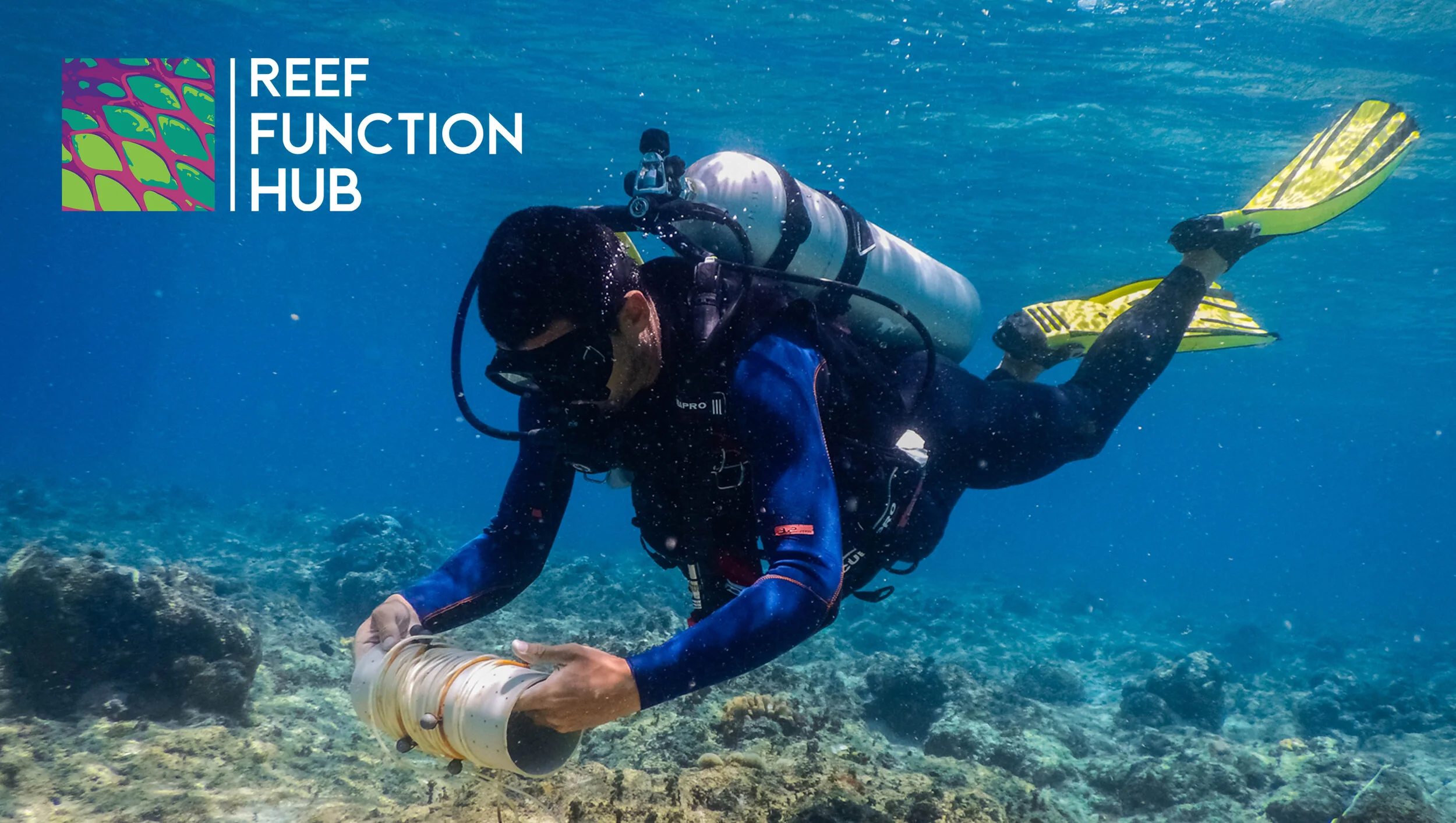Home - Reef Function Hub