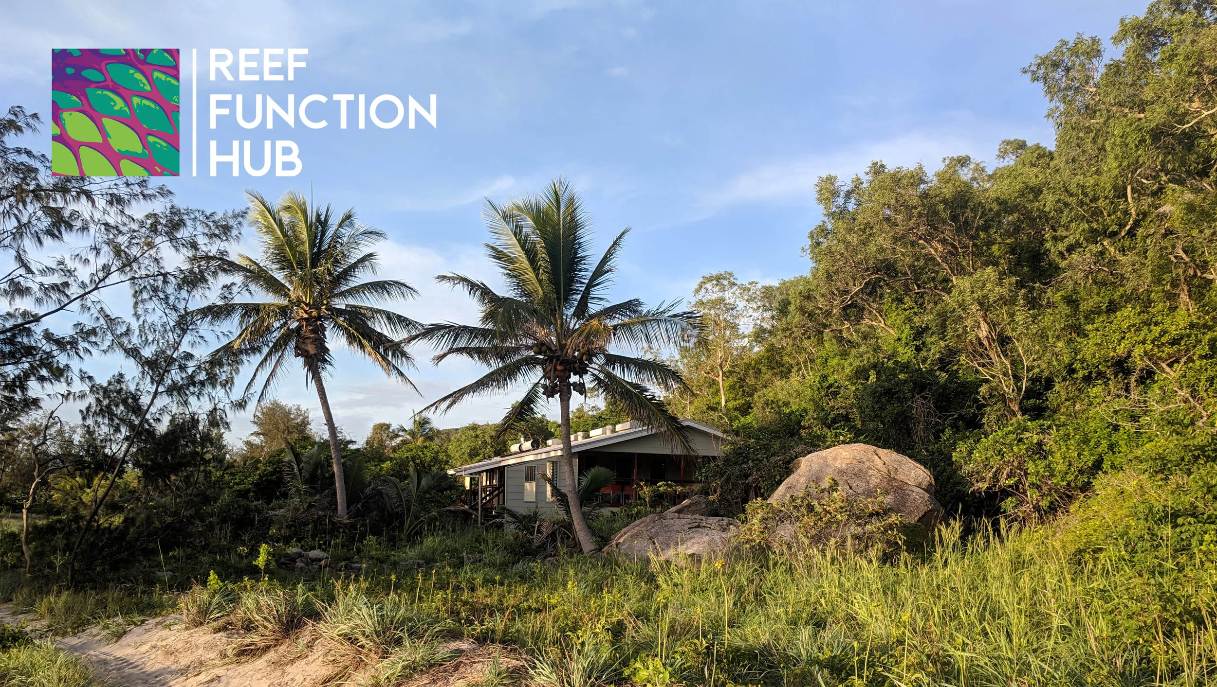Home - Reef Function Hub