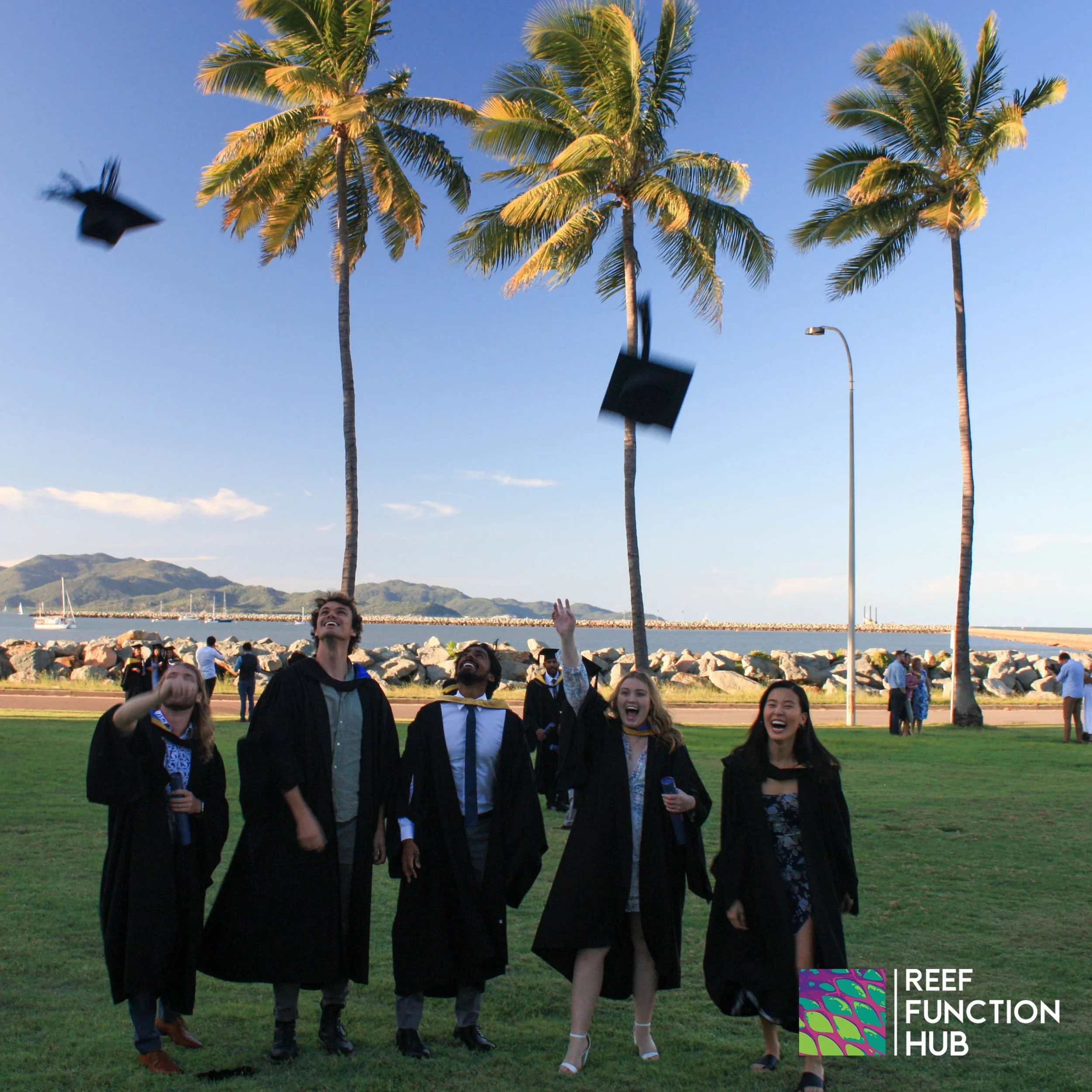 Home - Reef Function Hub