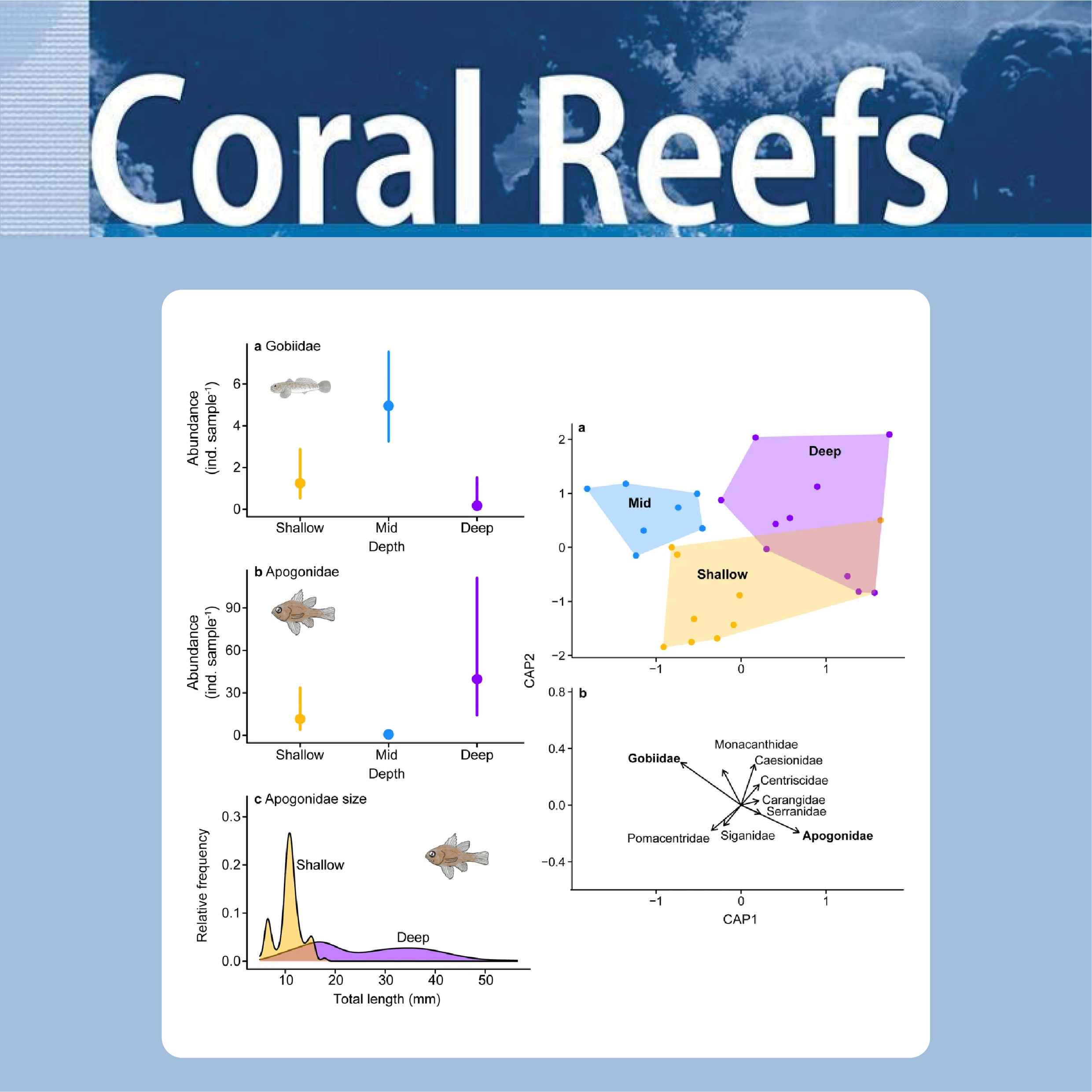 Home - Reef Function Hub