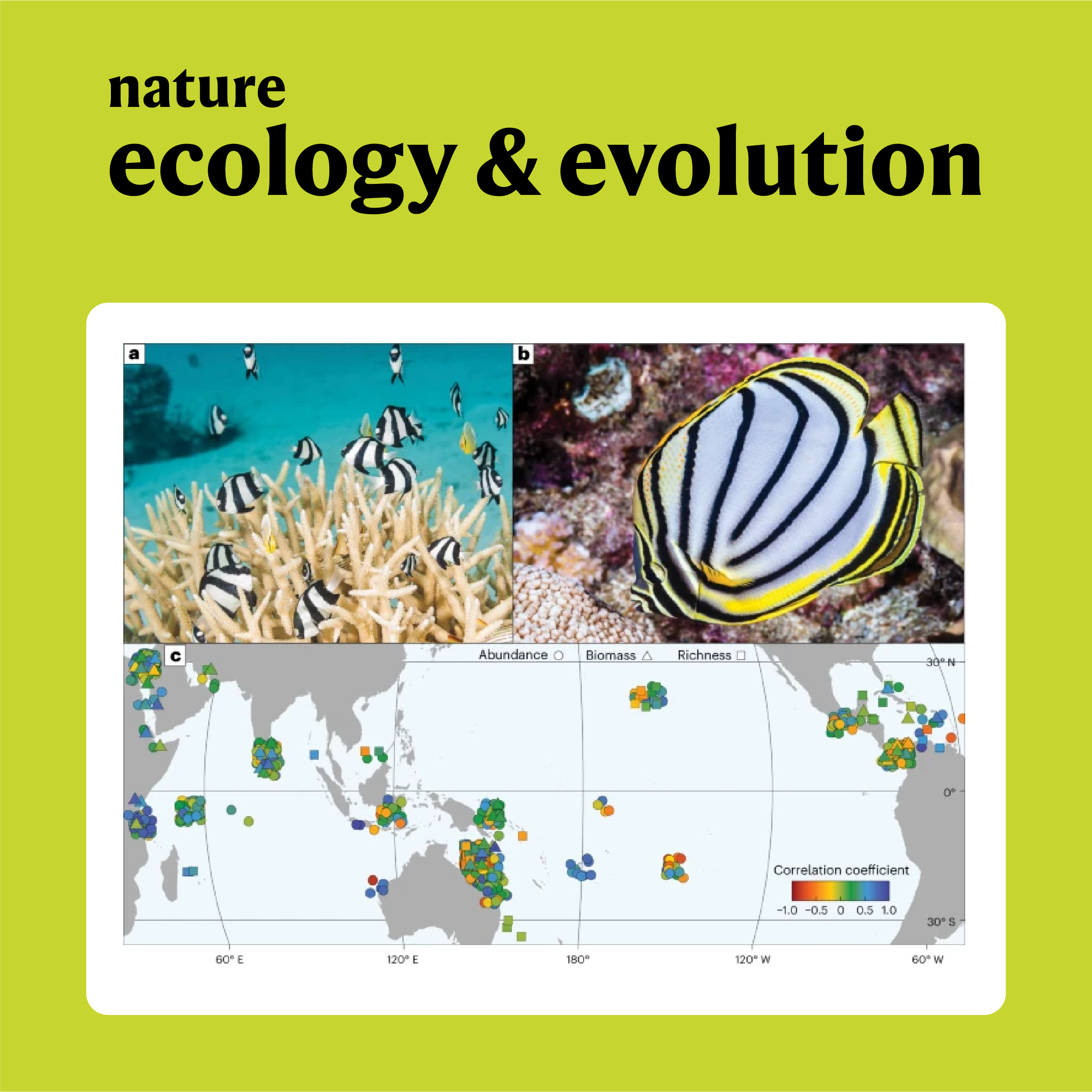 Home - Reef Function Hub