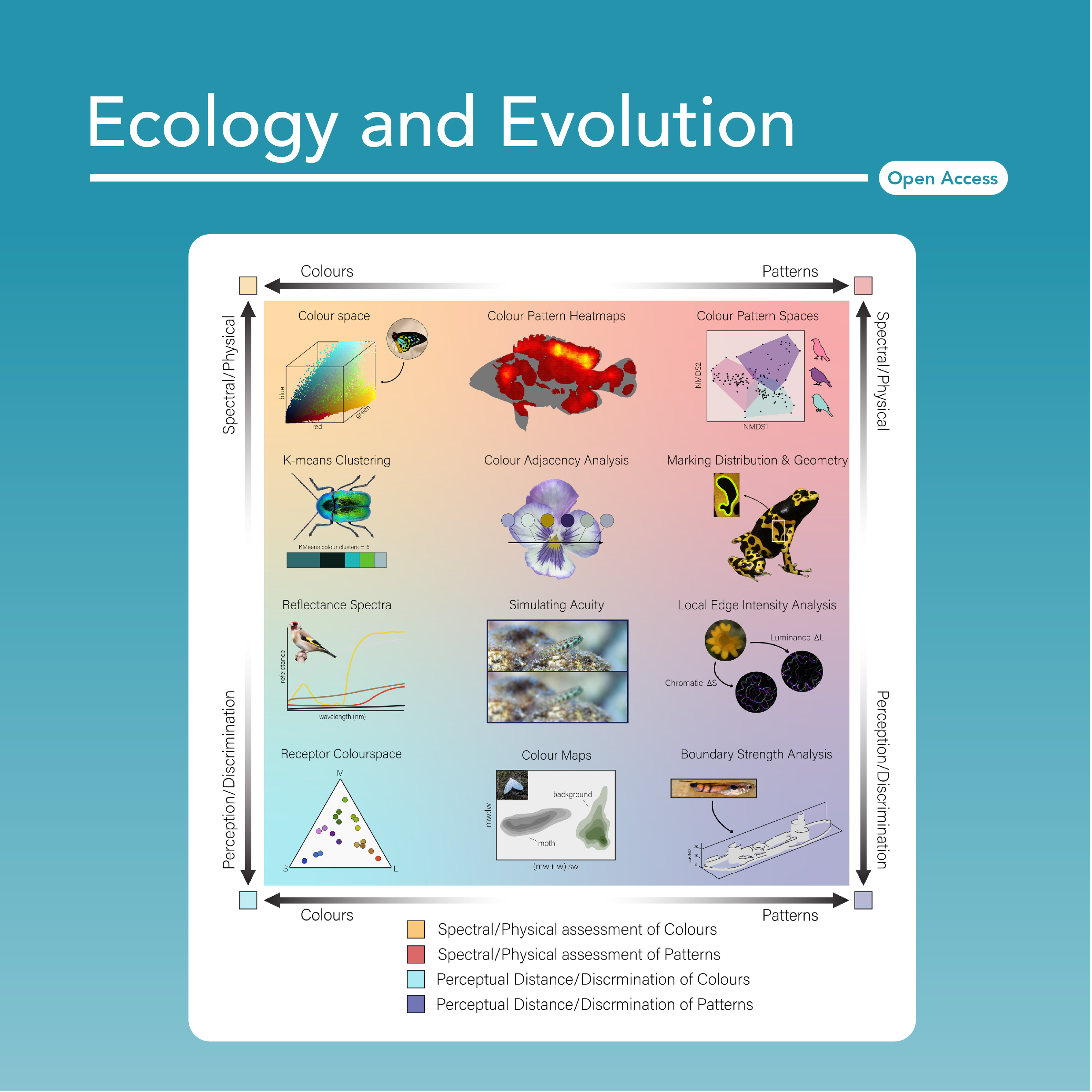 Home - Reef Function Hub