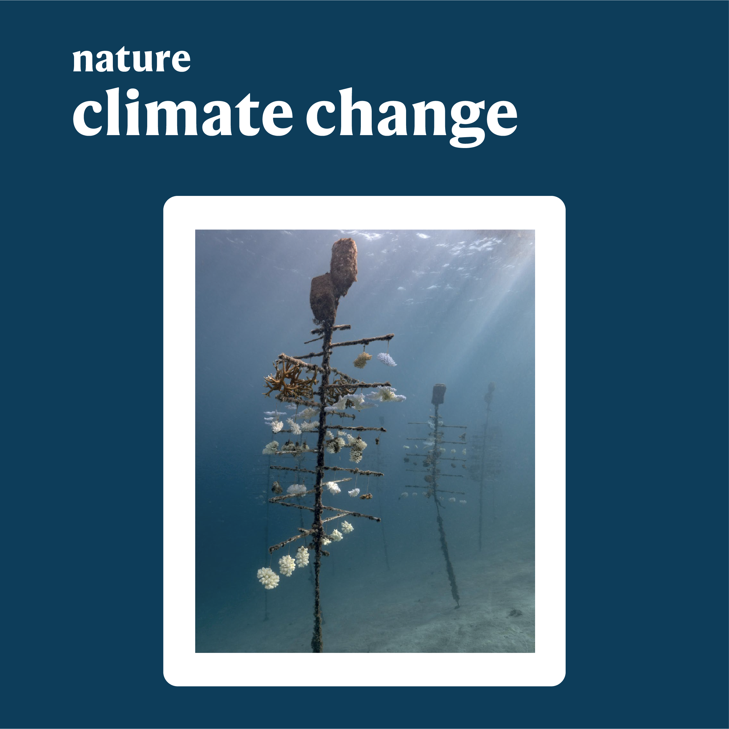 Home - Reef Function Hub