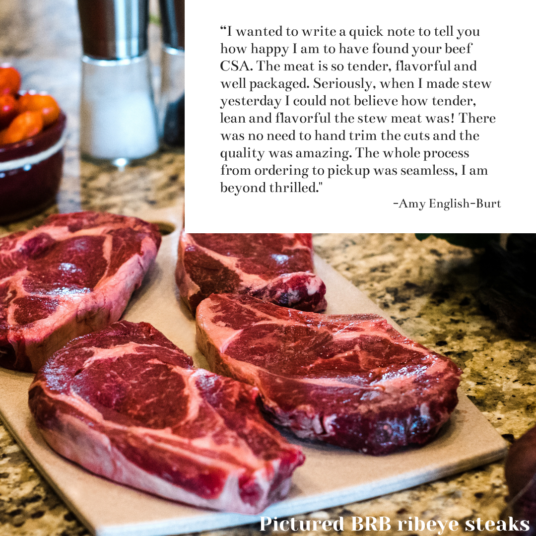 Slow grown ID Beef CSA - Bruce Ranch Beef - Southern Idaho