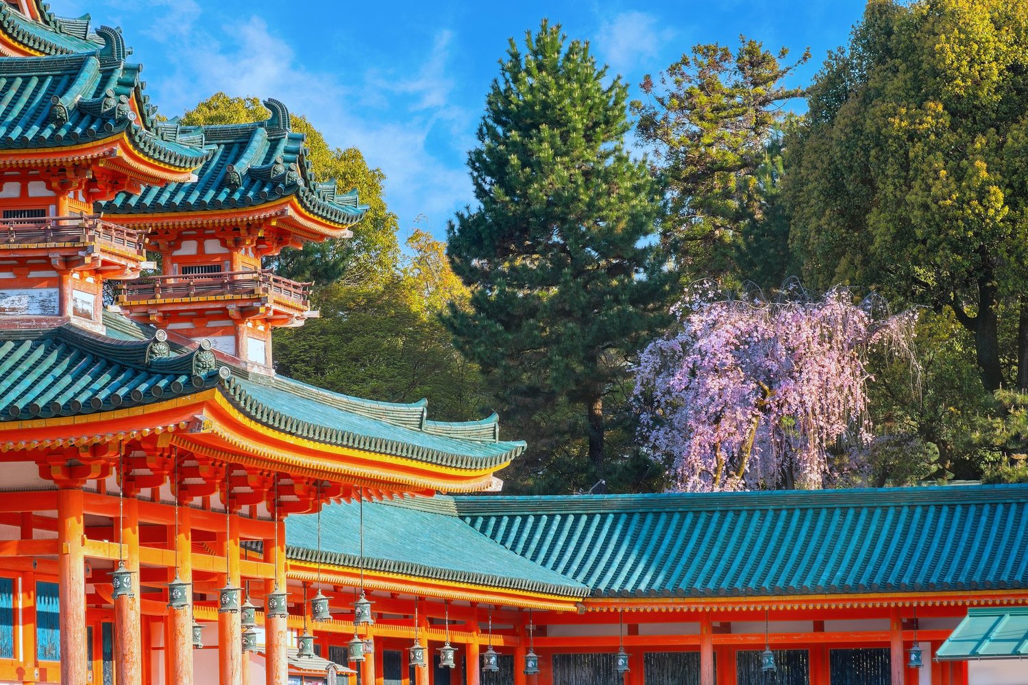 Kyoto Activities - Kamogawa, Tea Ceremony, Workshops and Museums ...