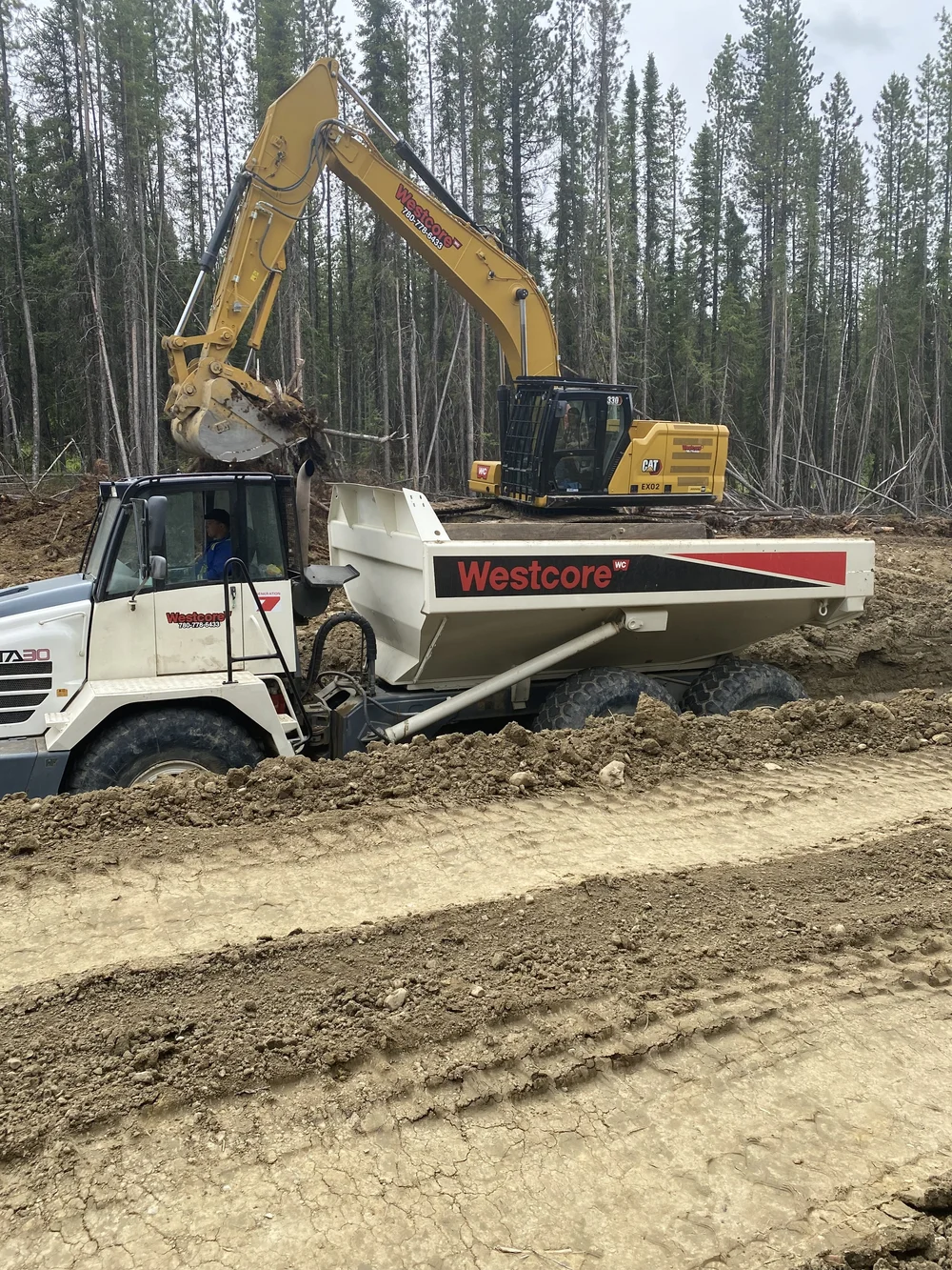 Services — Westcore