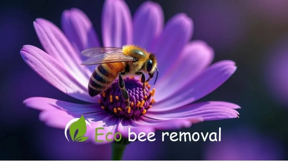 What Bees See: Bee Vision & Color Detection Explained