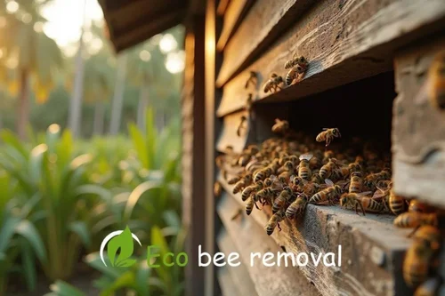 Eco Bee Removal Blog - Live Bee Removal & Relocation