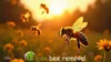 Bee Navigation & Homing: How Bees Always Find Home