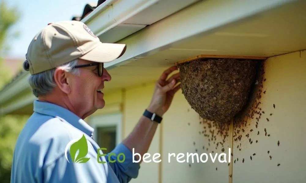 Bee vs Wasp vs Hornet: How to Tell the Difference Easily