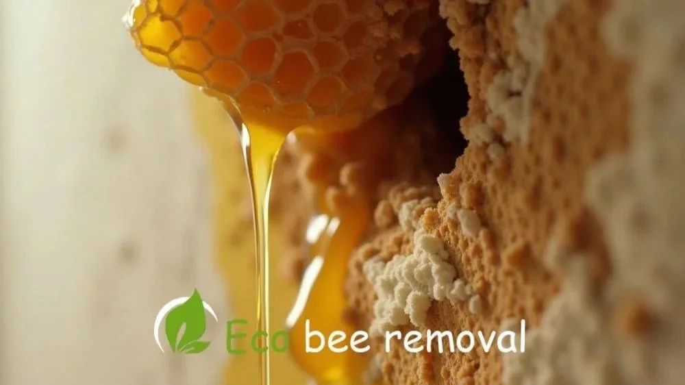 How Honey Residue After a Bee Infestation Lowers Home Value