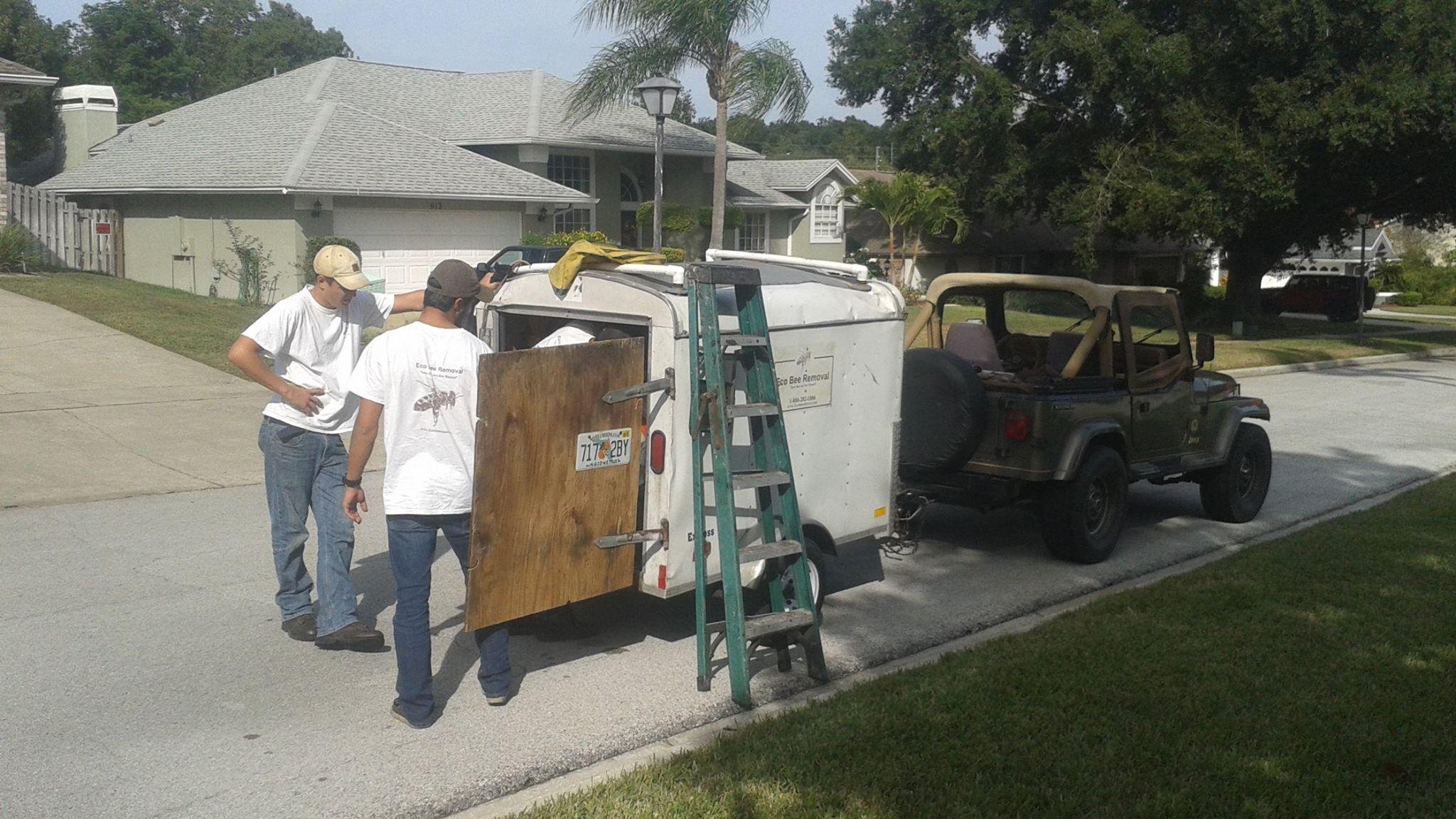 Humane Bee Removal Miami | Eco-Friendly Live Bee Relocation