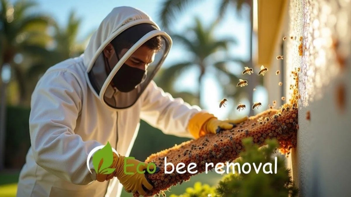 A Day in the Life of a Florida Bee Removal Expert in life.