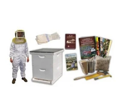 Urban Beekeeping Guide: Benefits, Practices, & Equipment.