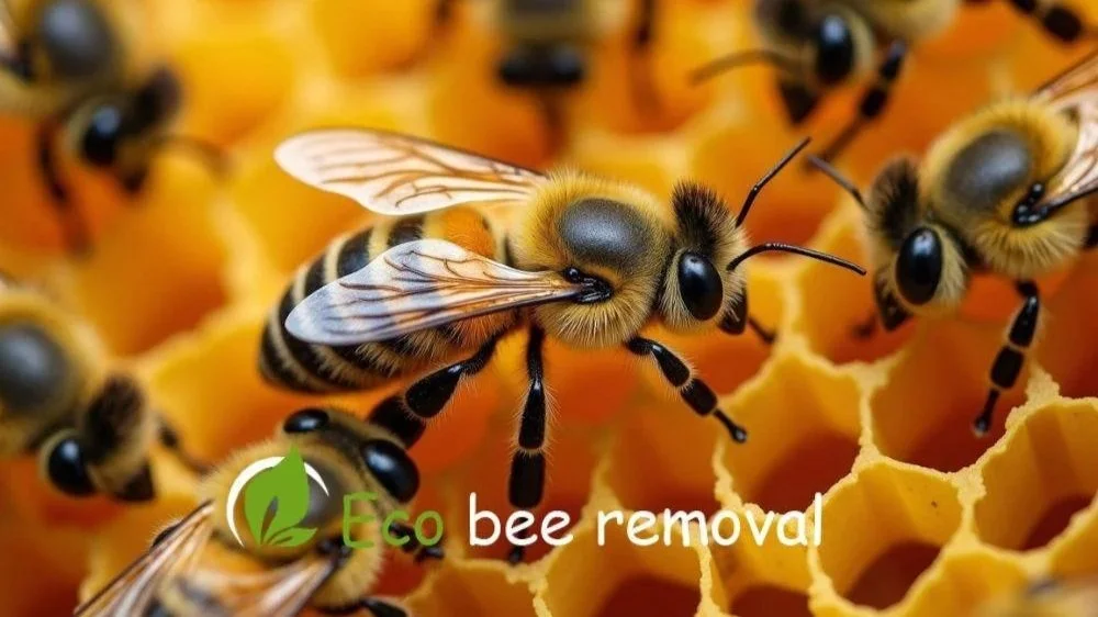 How Bees Recognize Their Hive by Smell: The Science Behind.