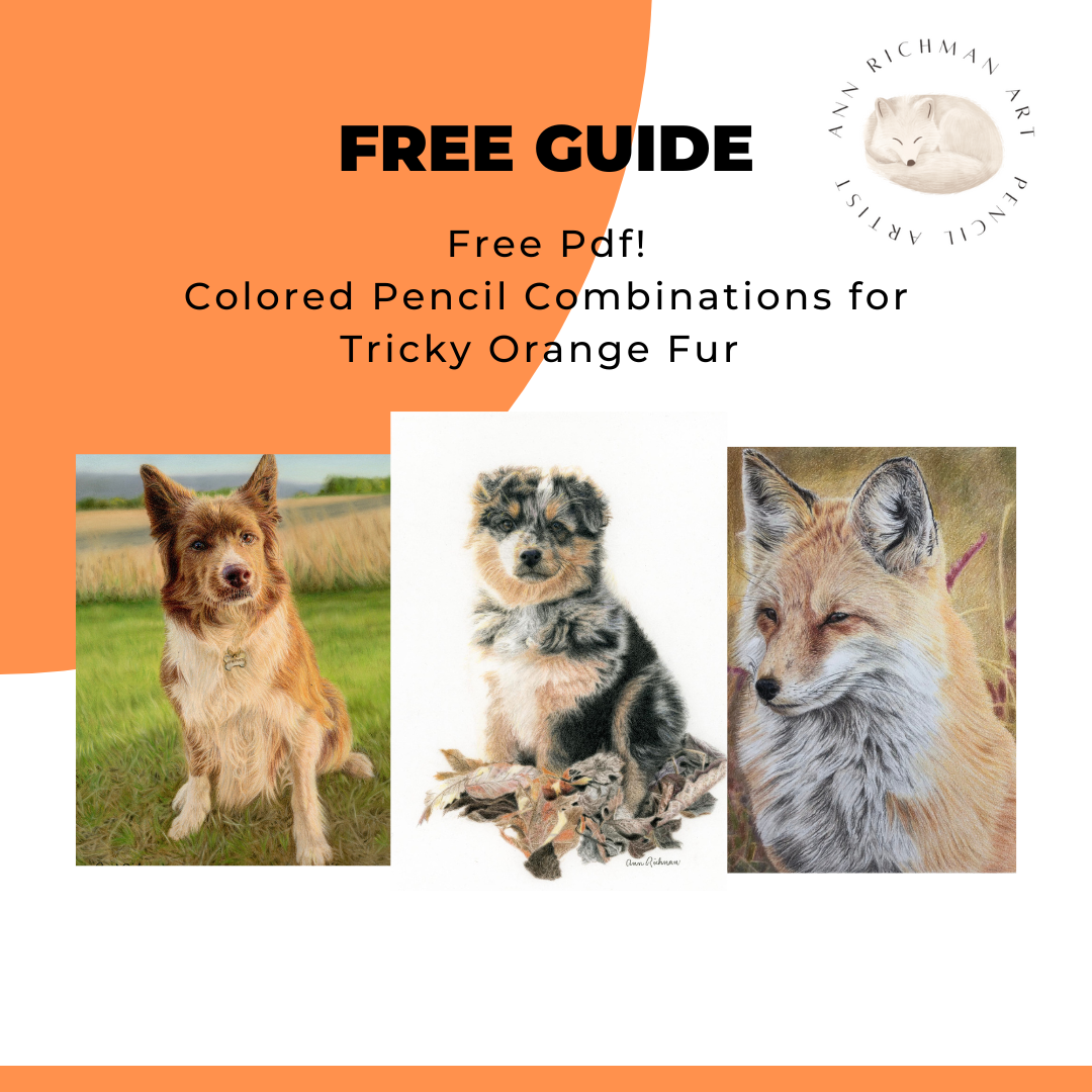 Help With Tricky Orange Fur PDF — Ann Richman Art
