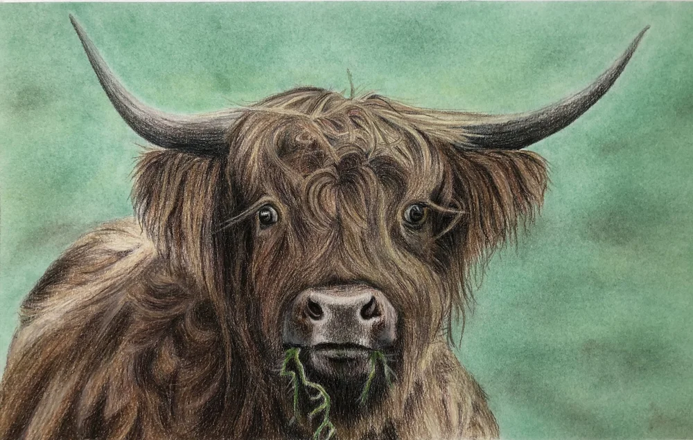 5 Methods for Creating Backgrounds in Colored Pencil Pieces — Ann ...