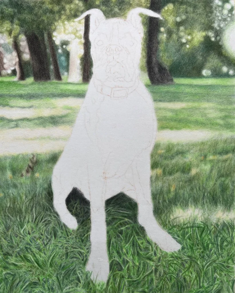 5 Methods for Creating Backgrounds in Colored Pencil Pieces — Ann ...