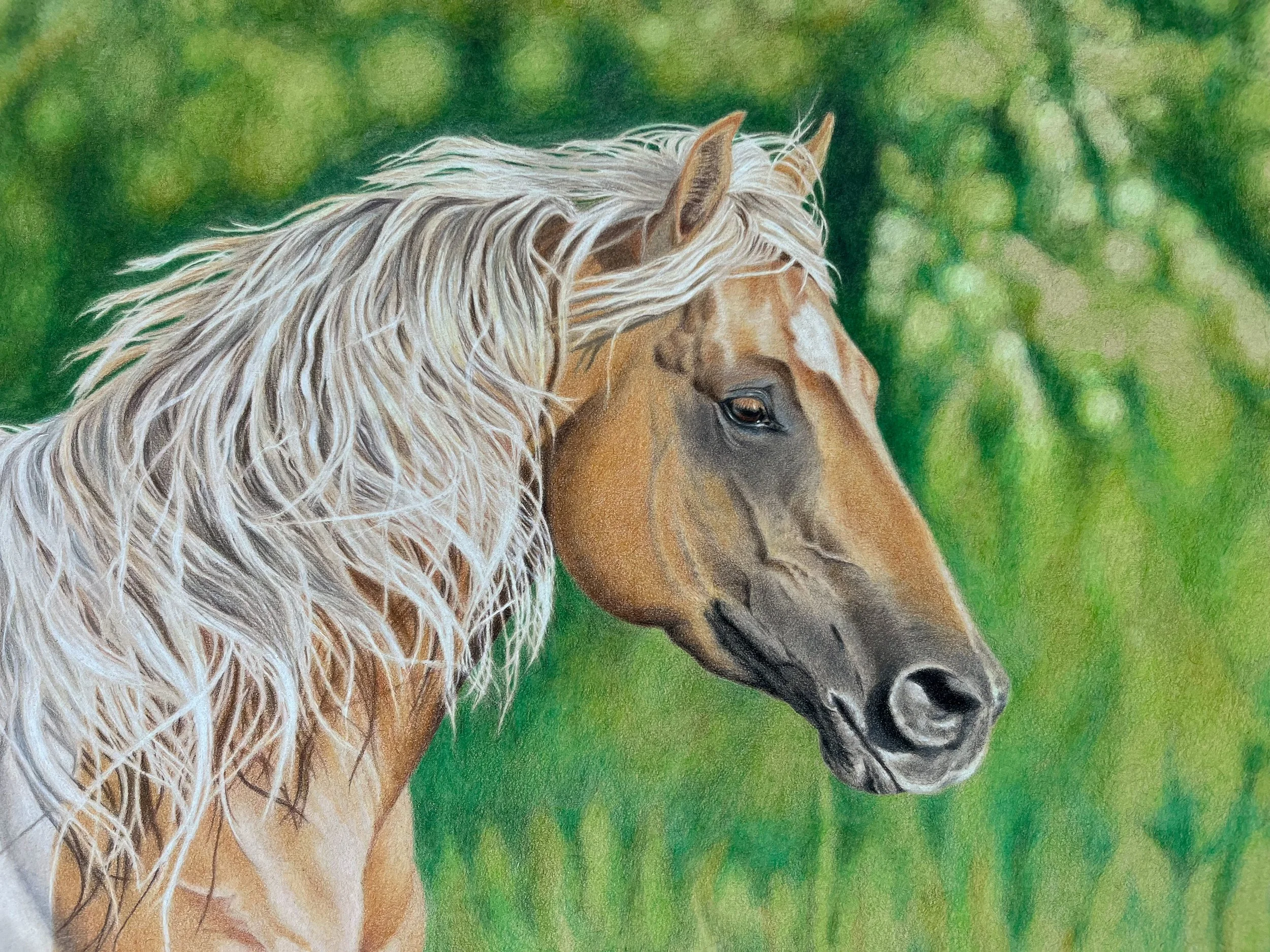 5 Factors to Consider when Choosing Media: Pastels vs. Colored Pencils ...