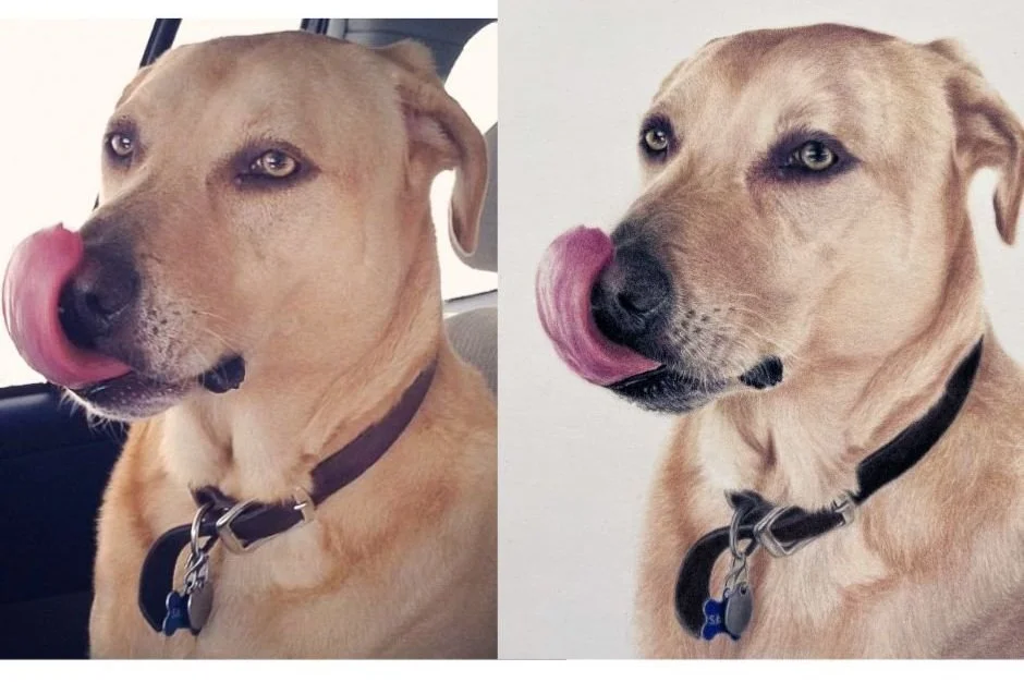 How to Quickly Improve Your Artwork In One Step — Ann Richman Art