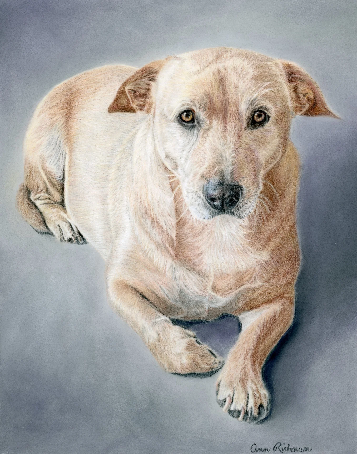 5 Methods for Creating Backgrounds in Colored Pencil Pieces — Ann ...