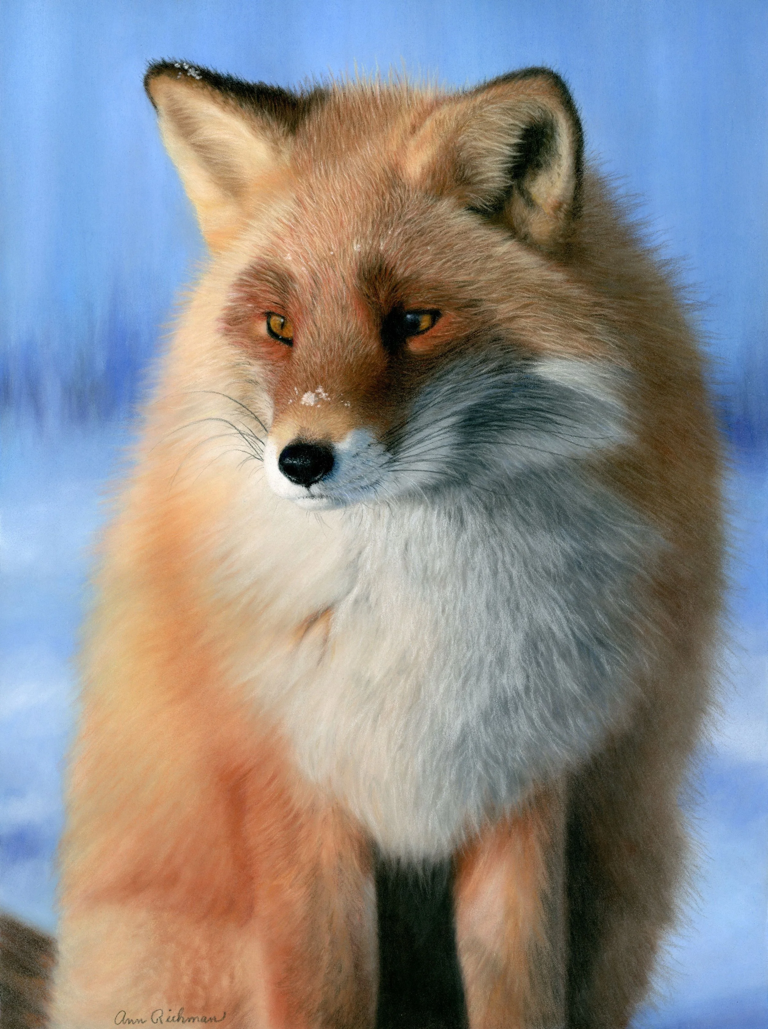 Soft Pastels, Hard Choices: My Must-Have Tools for Creating Realistic ...