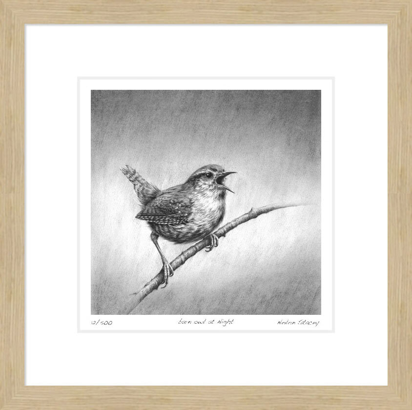 Wren — Nolon Stacey