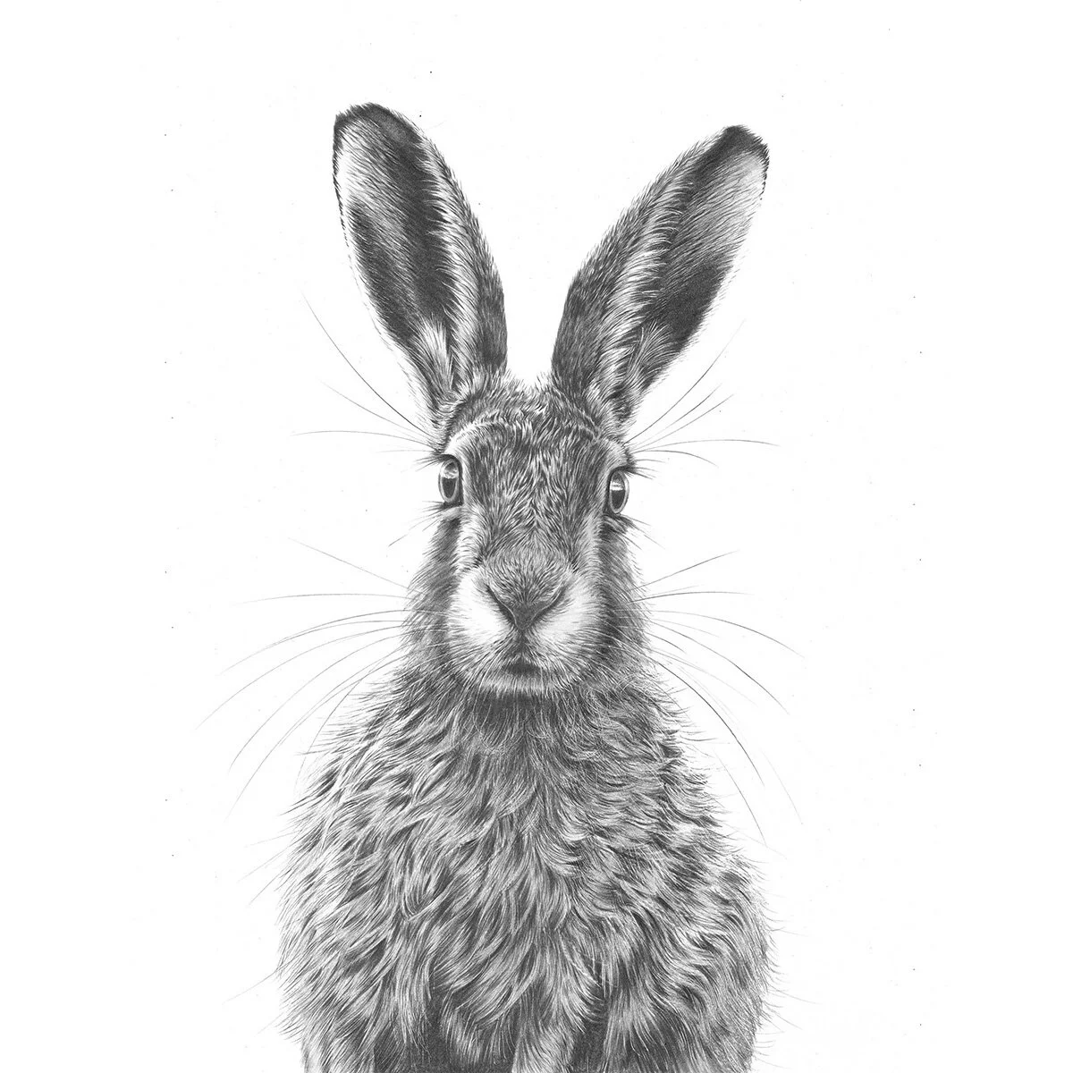 Turning Hare — The Nolon Stacey Gallery