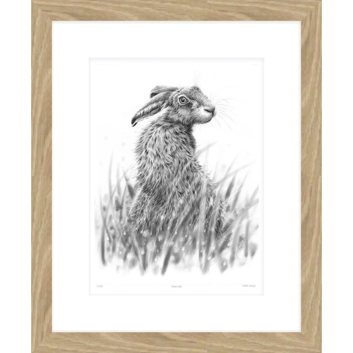 Hare Looking Back — The Nolon Stacey Gallery