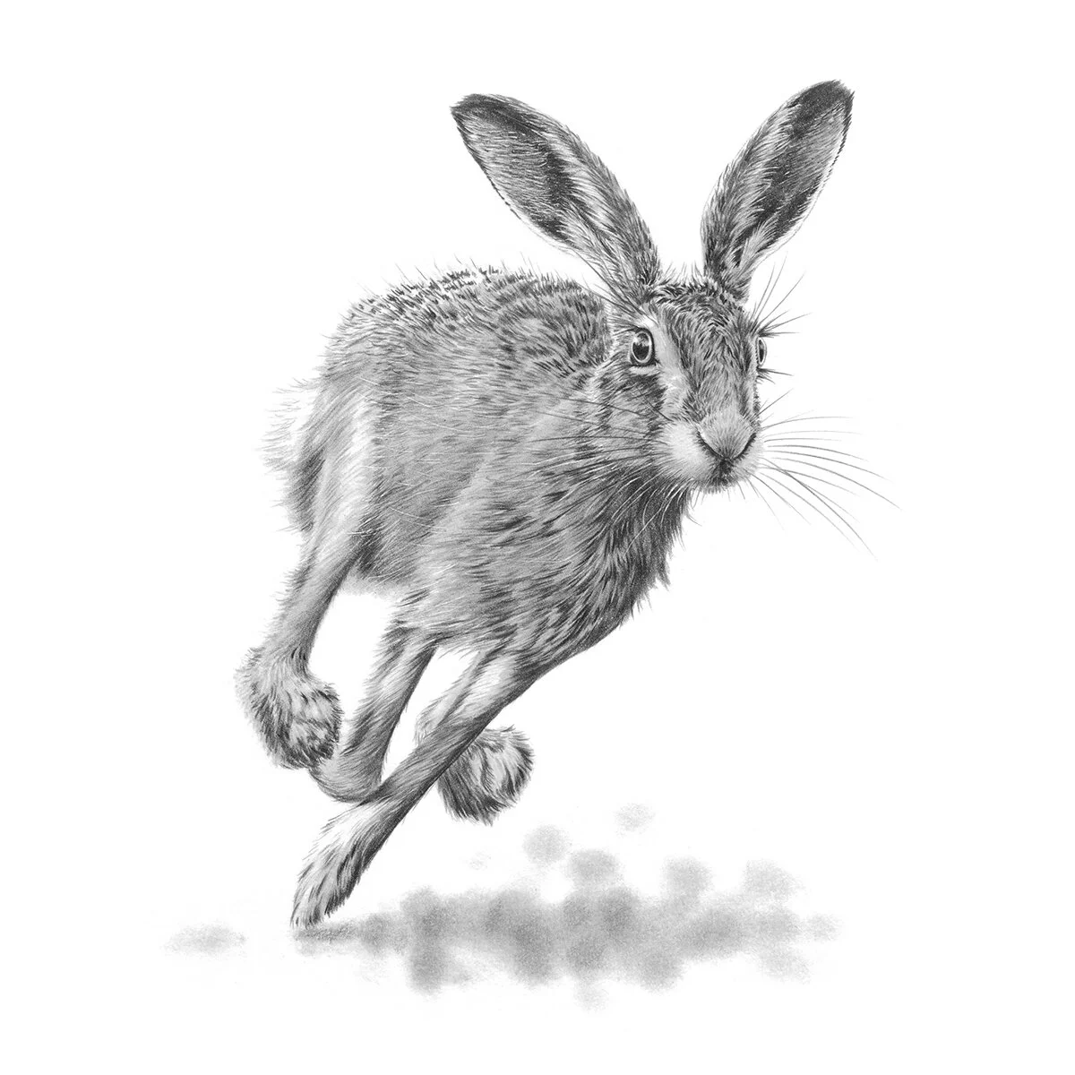 Turning Hare — The Nolon Stacey Gallery