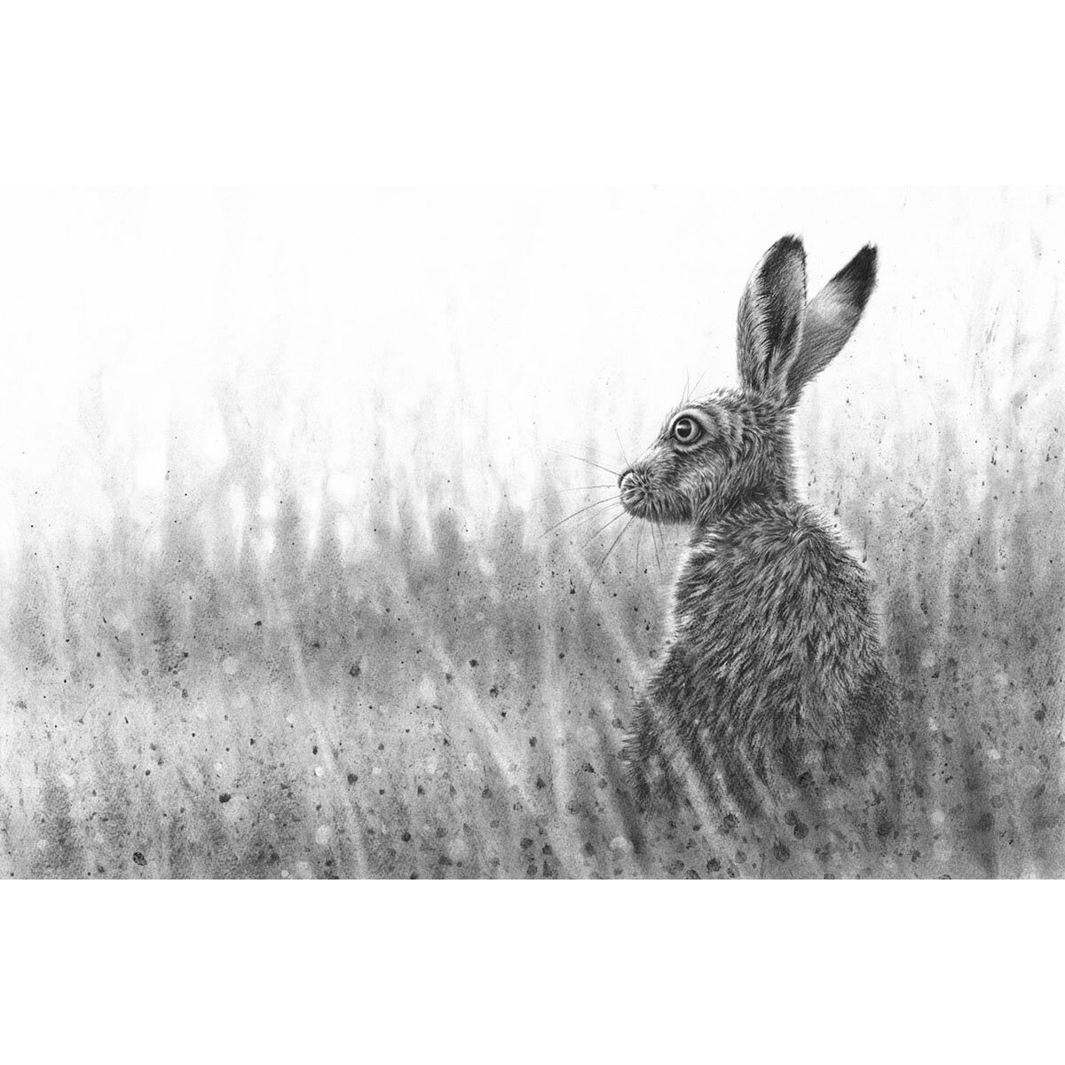 Alert Hare II — The Nolon Stacey Gallery