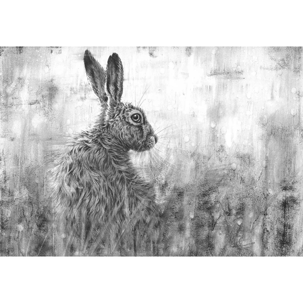 Hare Looking Back — The Nolon Stacey Gallery