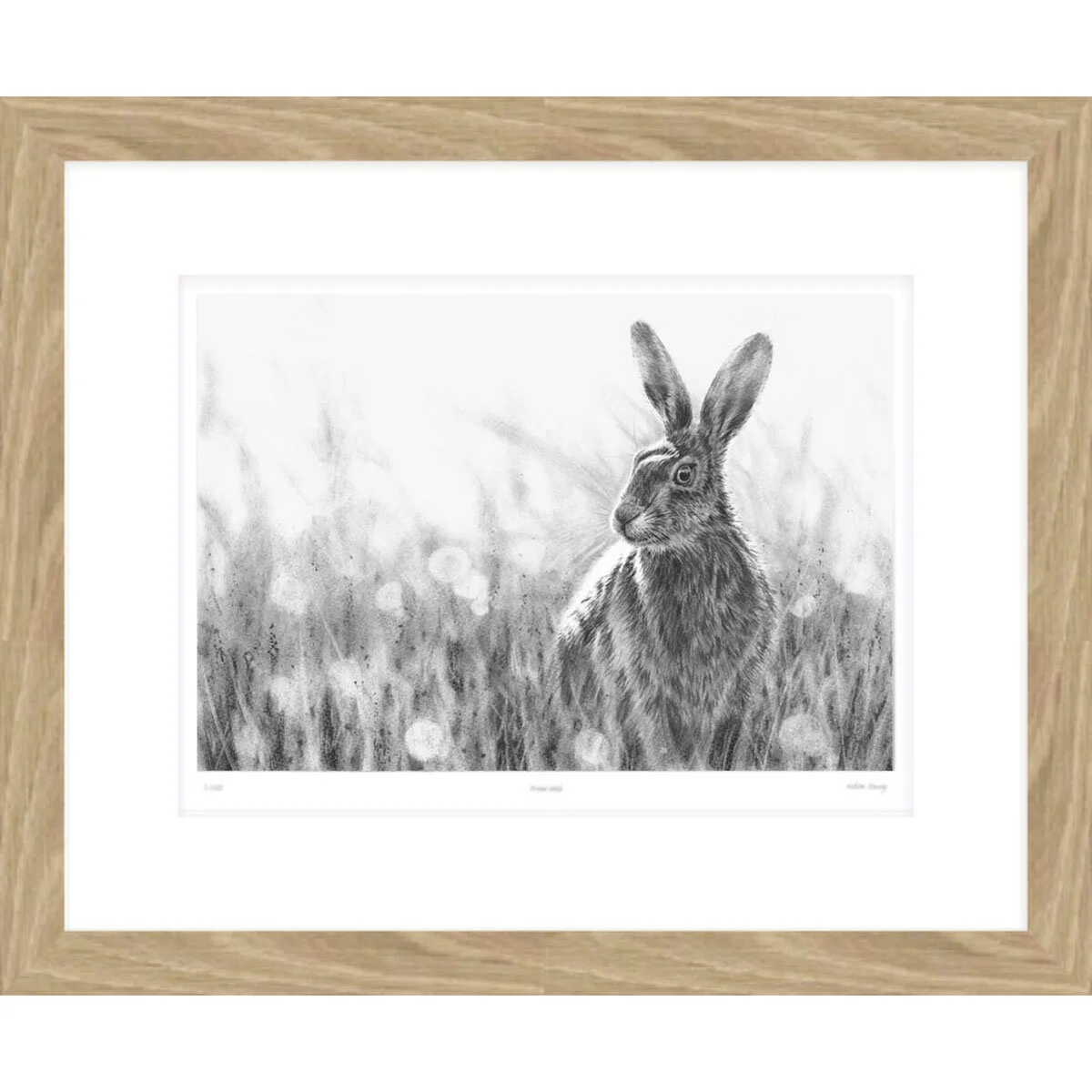 Watching Hare — The Nolon Stacey Gallery