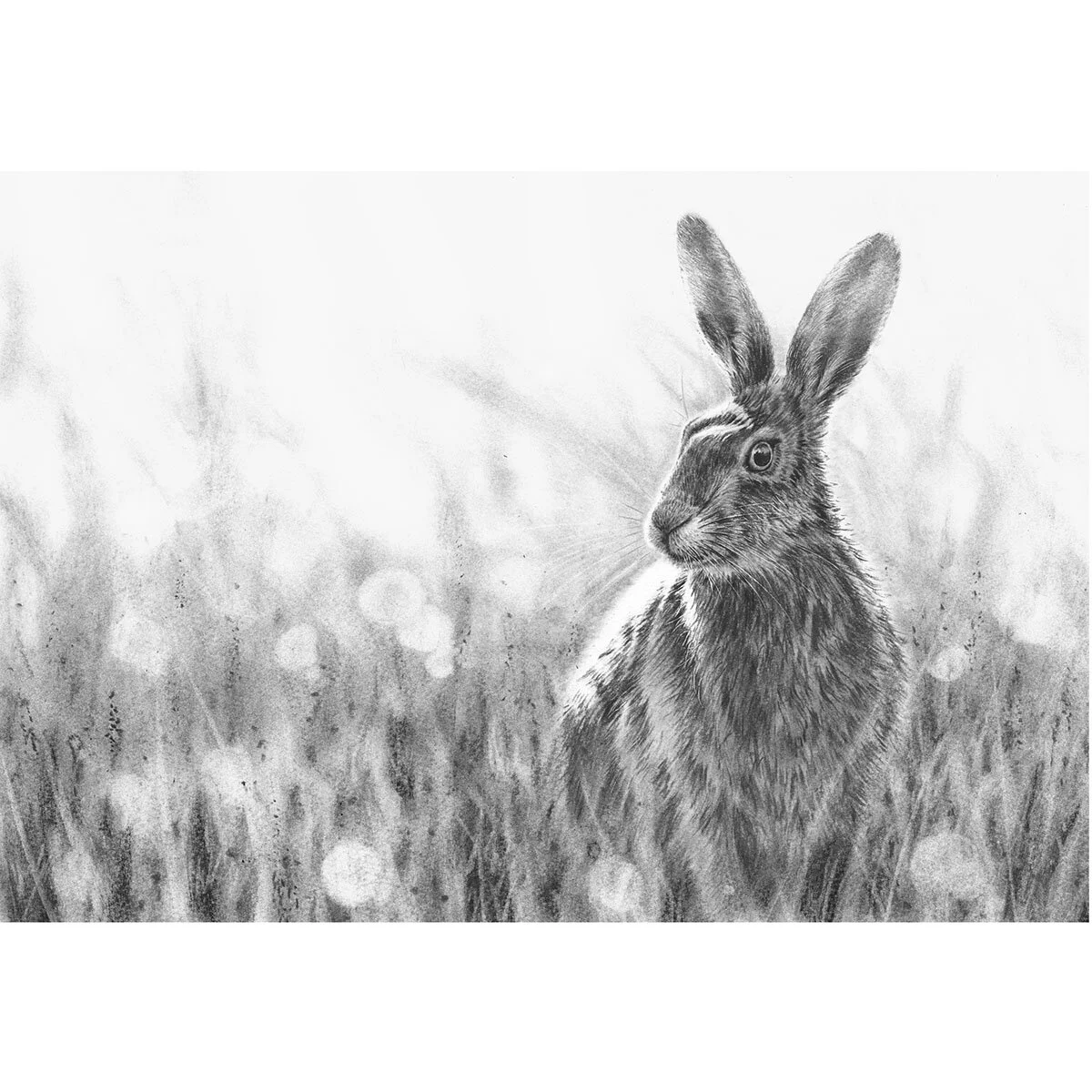 Hare Looking Back — The Nolon Stacey Gallery