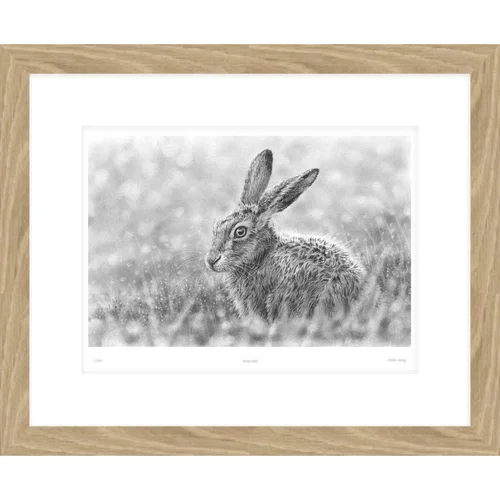 Hare Looking Back — Nolon Stacey