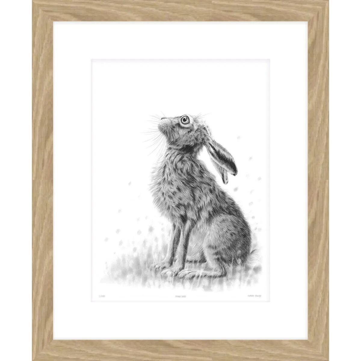 Turning Hare — Nolon Stacey