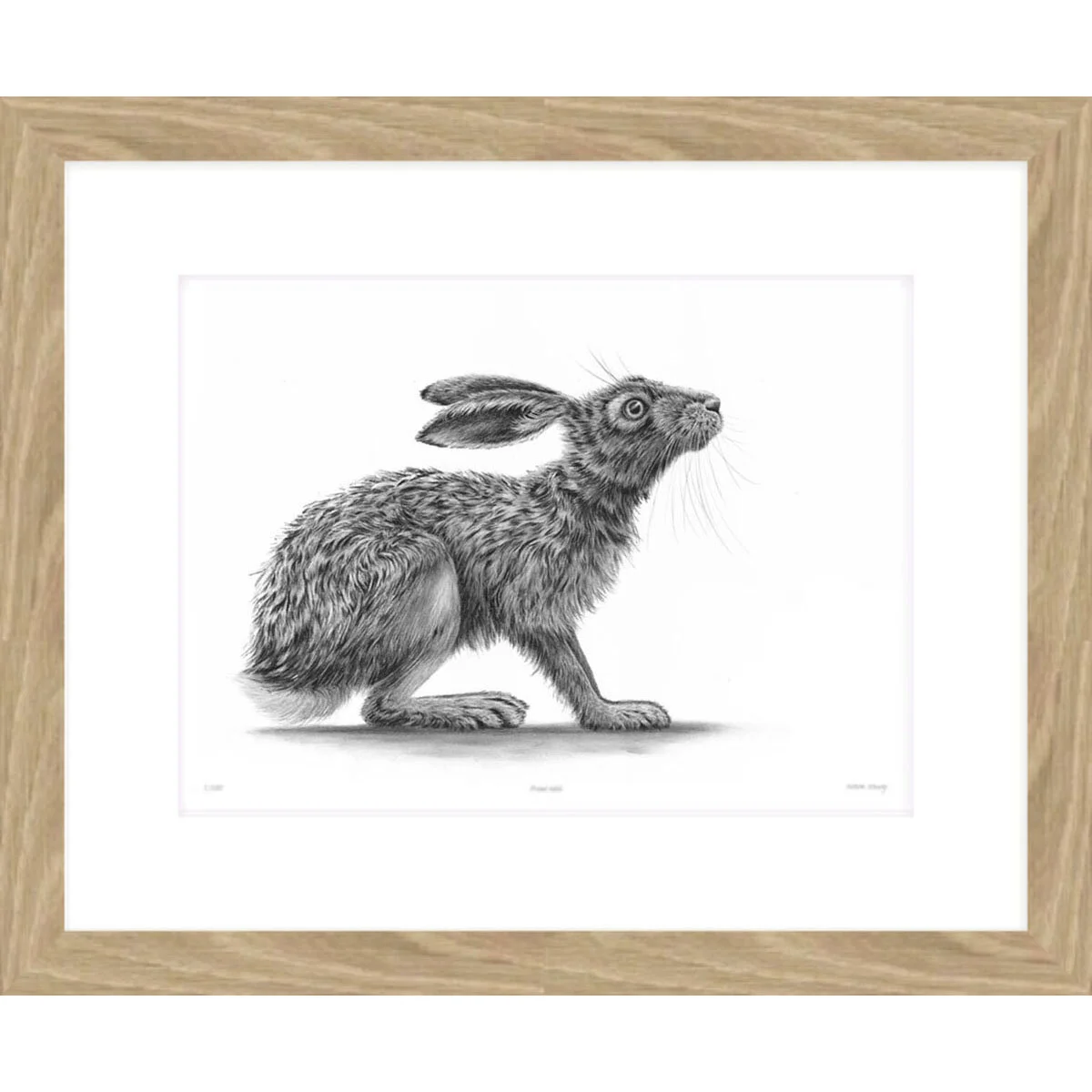 Turning Hare — Nolon Stacey