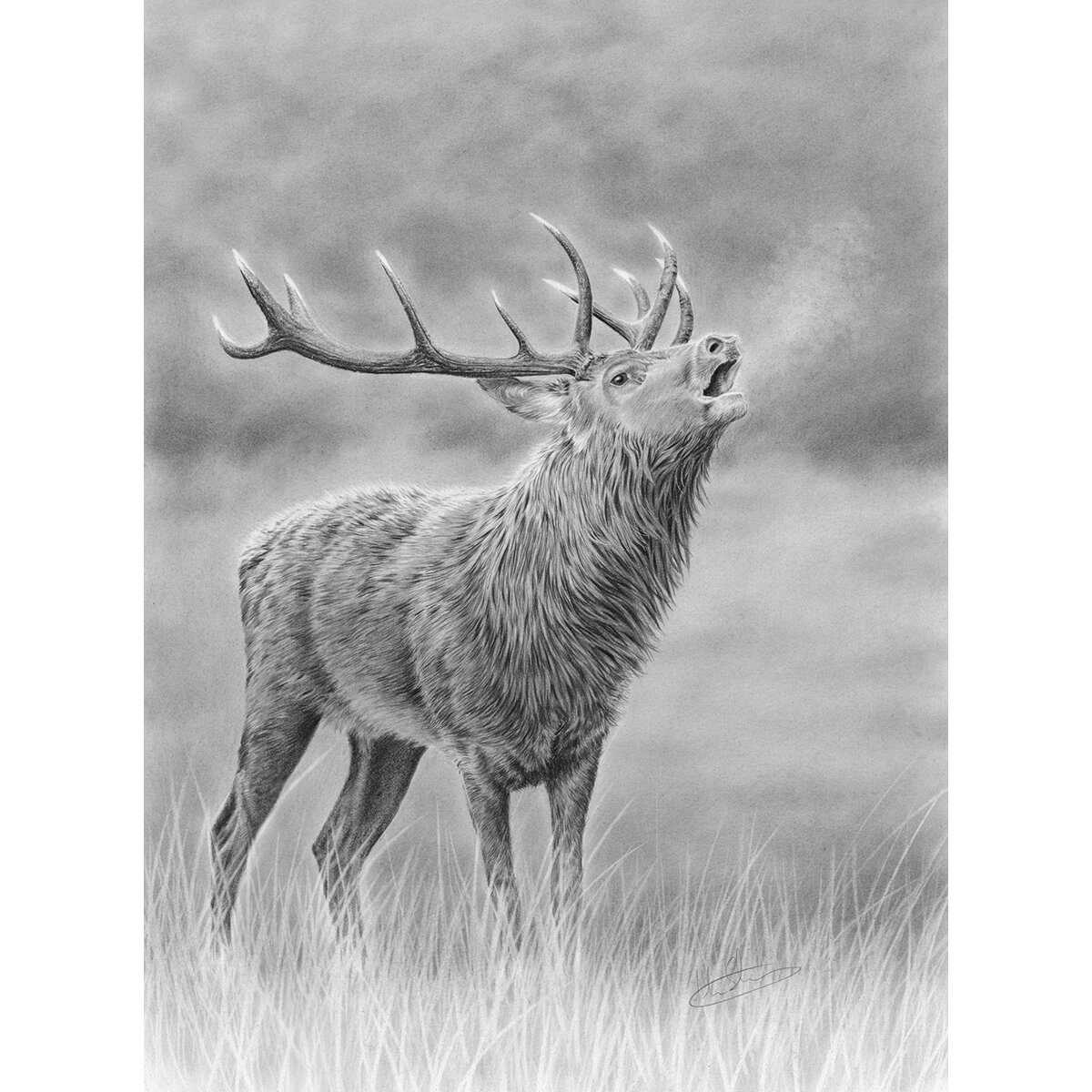 Red Stag II — Nolon Stacey