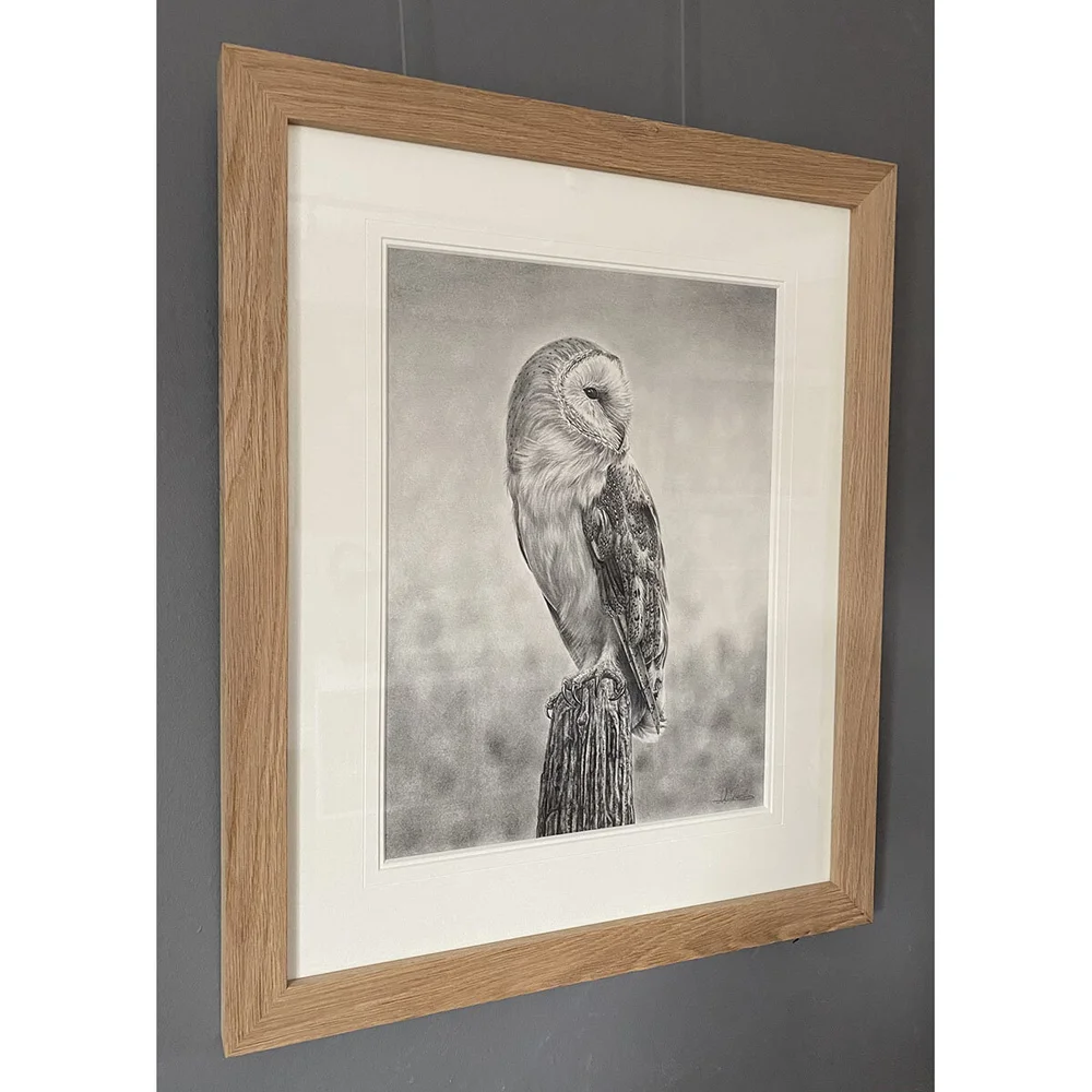 'Chaffinch' Original Pencil Drawing — Nolon Stacey