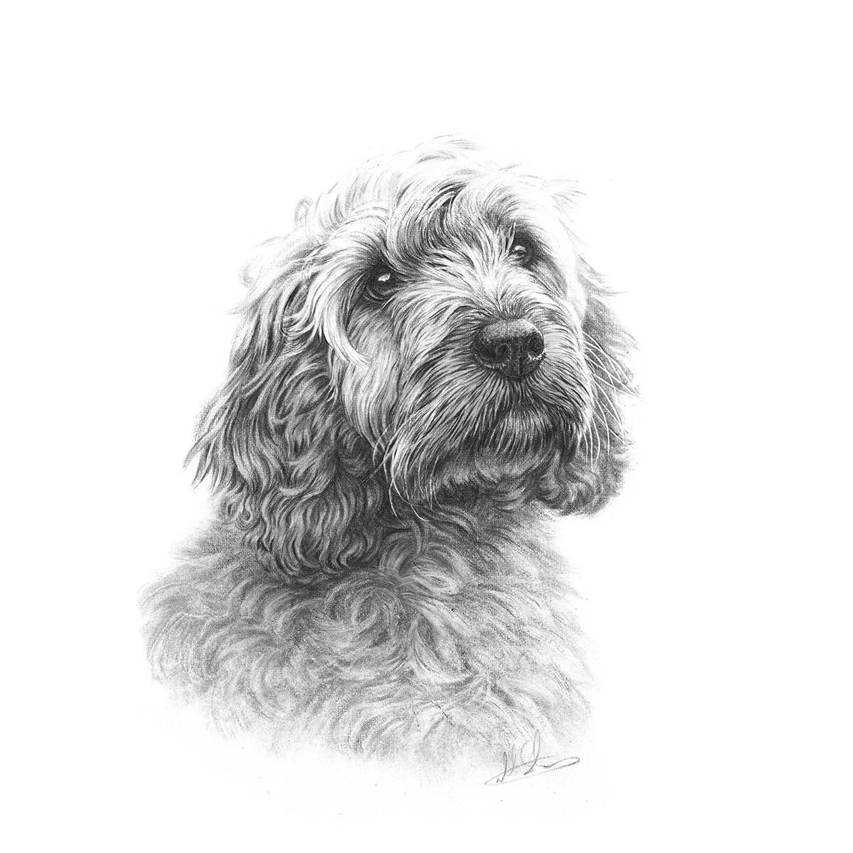 Whippet Greeting Card - DS33 — Nolon Stacey