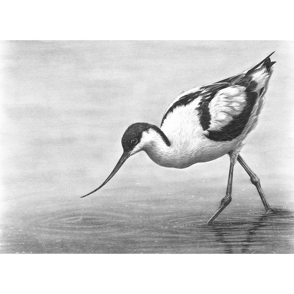 Originals — The Nolon Stacey Gallery