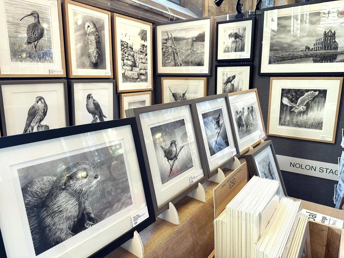 Red Fox — The Nolon Stacey Gallery