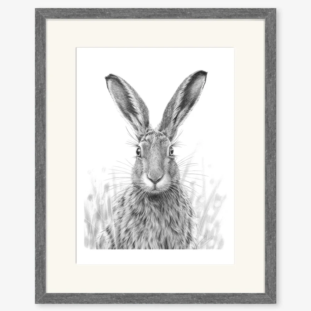Turning Hare — Nolon Stacey