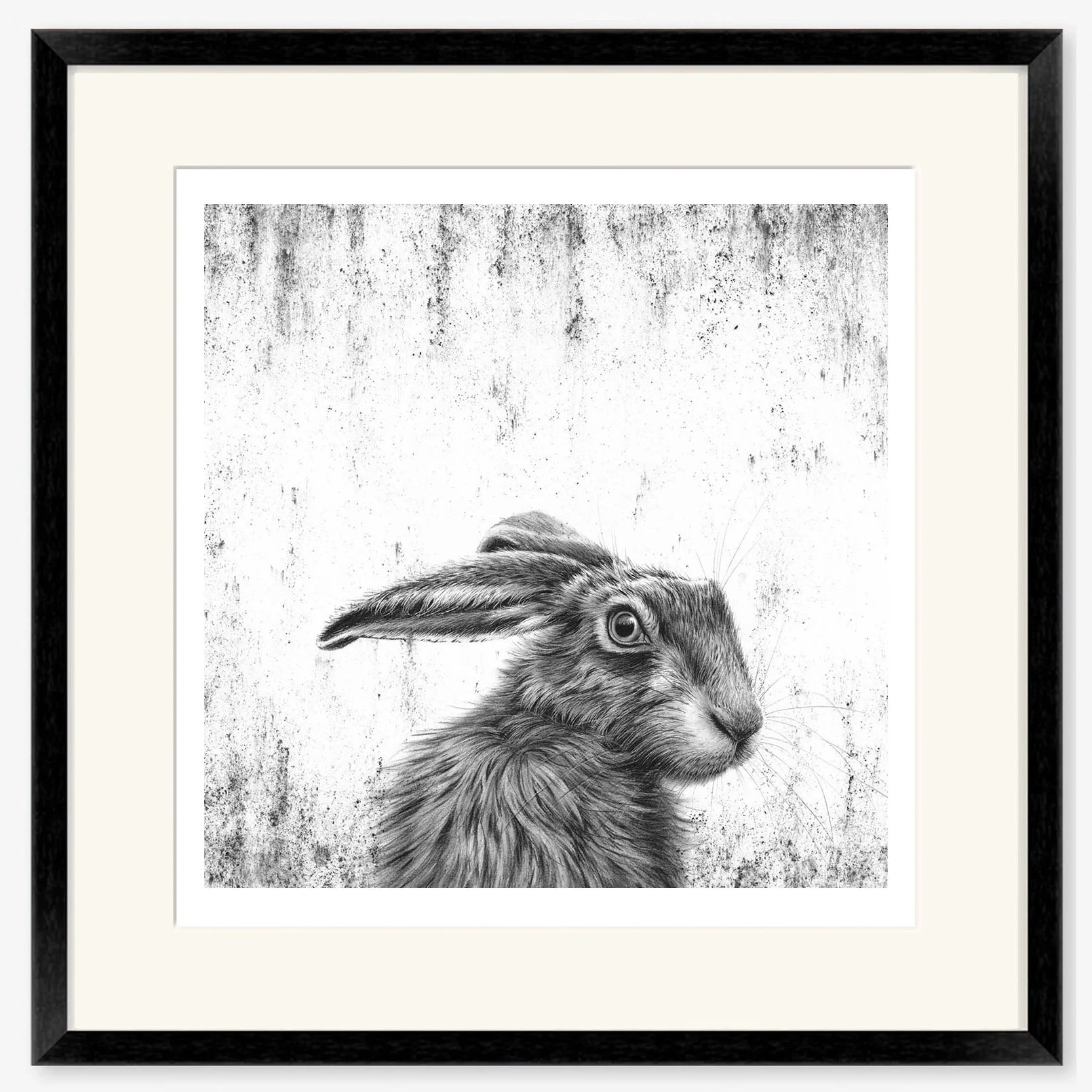 Turning Hare — Nolon Stacey