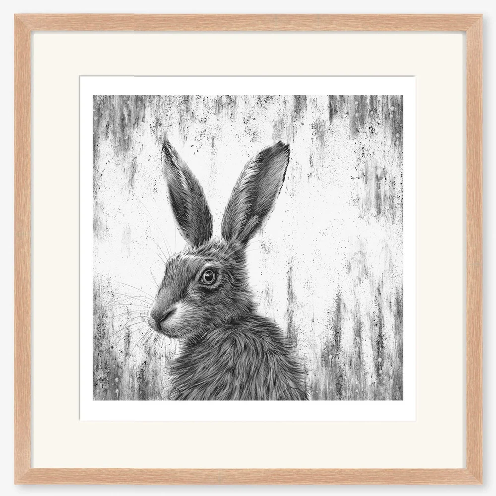 Turning Hare — Nolon Stacey