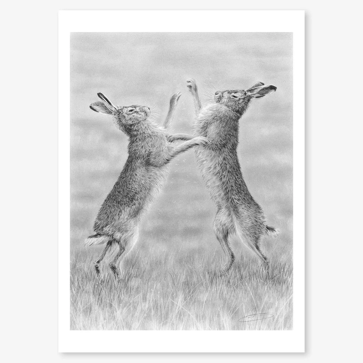 Turning Hare — Nolon Stacey